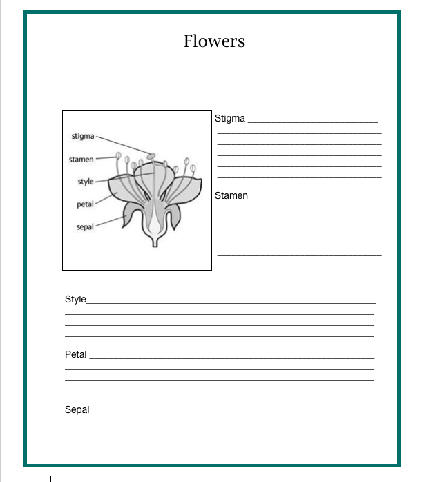 Notebooking | Schoolmarm Ohio